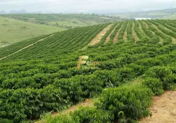 Fazendas à venda no Luiz Iglésias em Colatina | Chaves na Mão