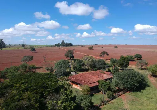 Fazendas à venda na Zona Rural em Coromandel | Chaves na Mão