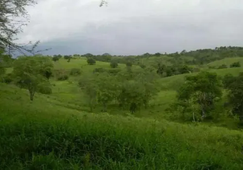 Fazendas em Arataca - BA | Chaves na Mão