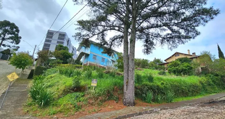 Terreno no São Roque, Bento Gonçalves - RS - ID: 37886051 | Chaves na Mão