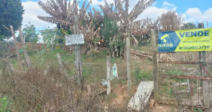 Terreno na Rua Cactus, 229, Campina da Barra, Araucária - PR - ID ...